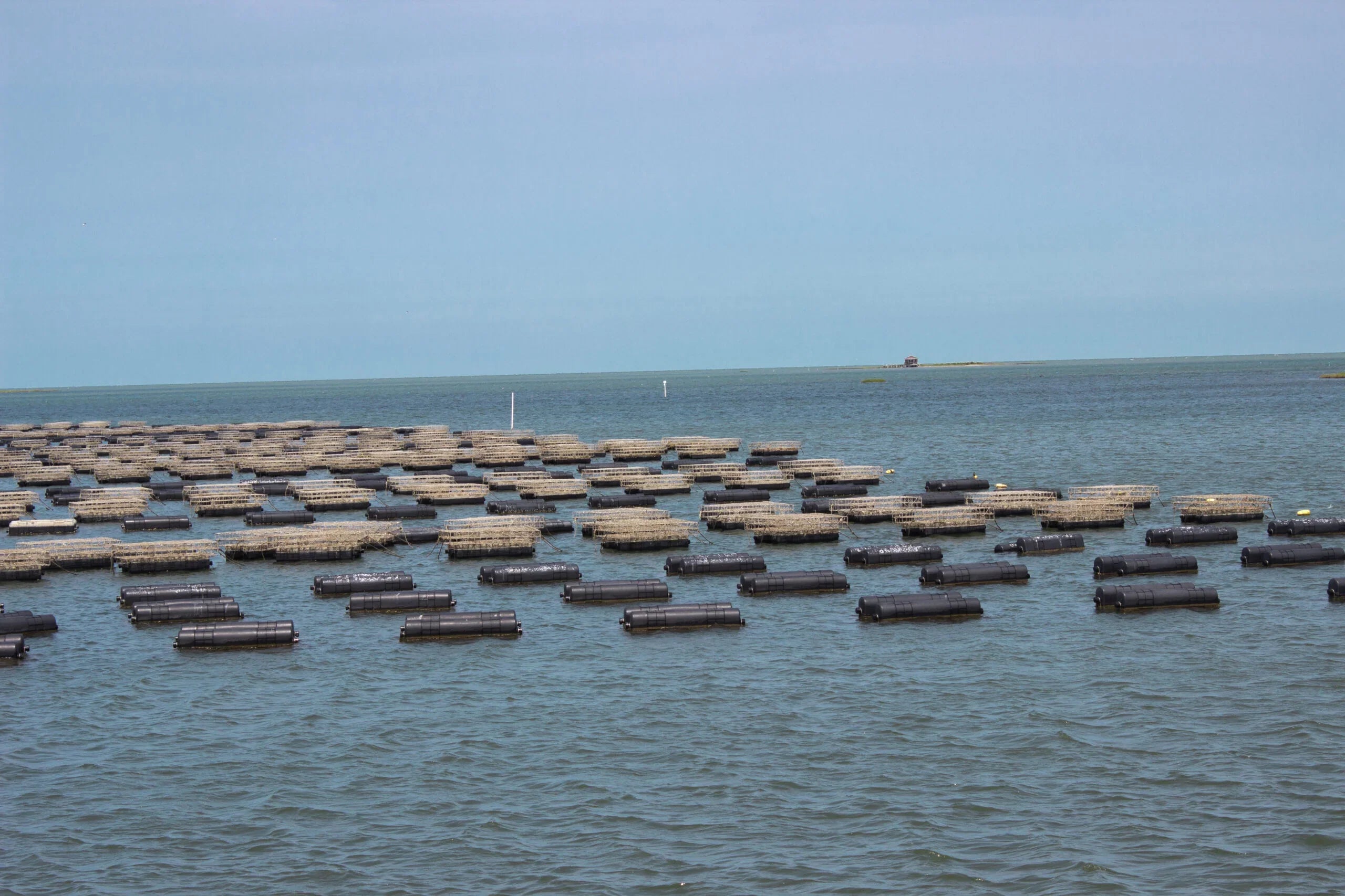 Commercial Shellfish Aquaculture – Ketcham Supply
