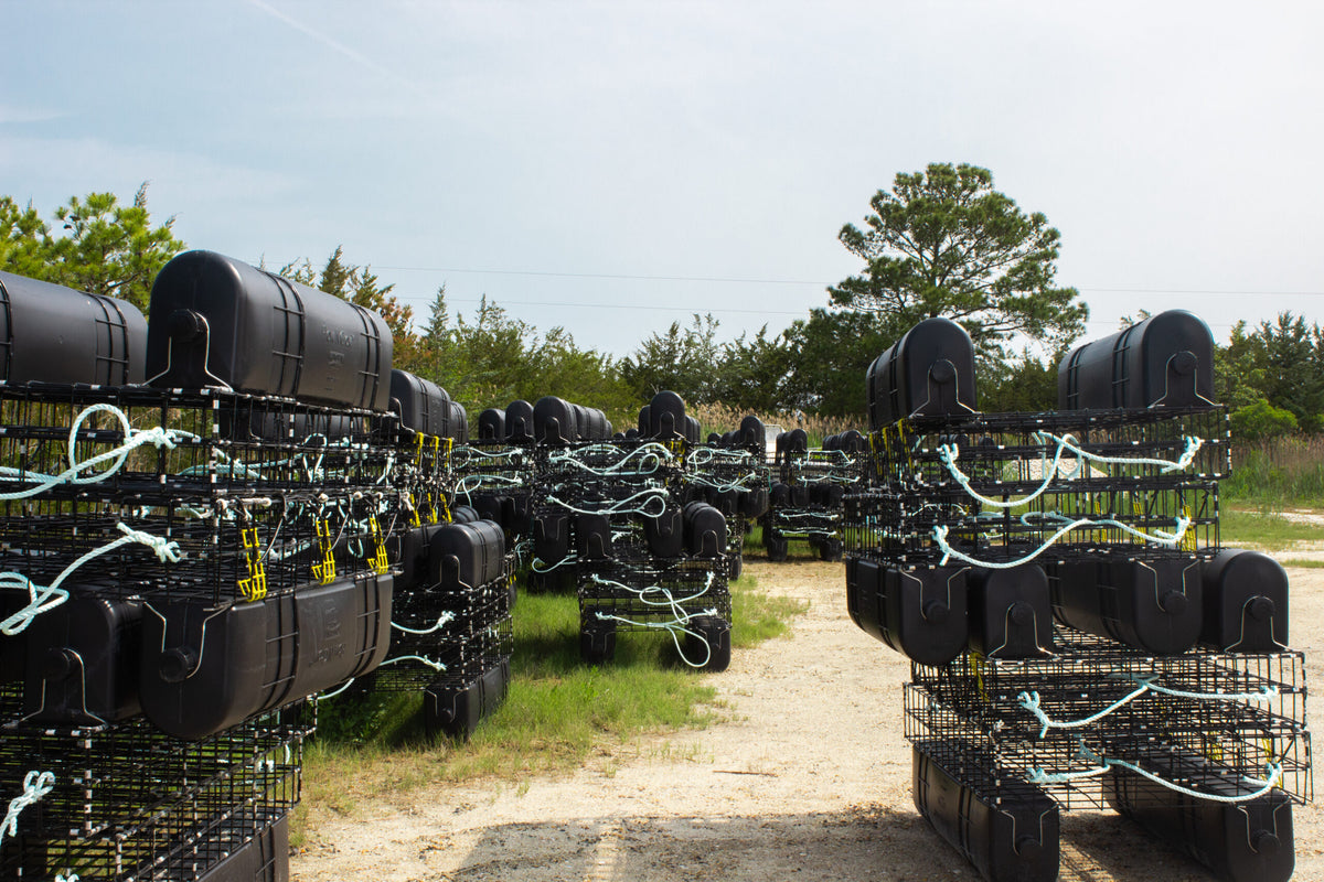 Flow N Grow™ 6 Bay Floating Cage – Ketcham Supply